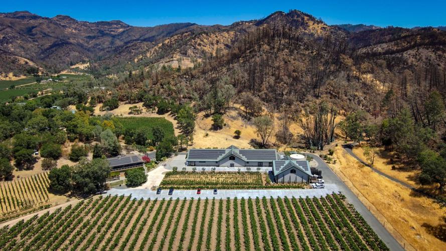Napa Trend Spotlight