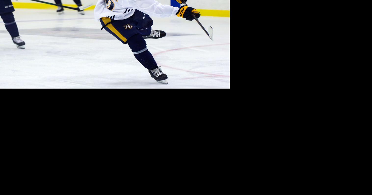 Storylines to watch during Predators’ training camp | Nashville ...