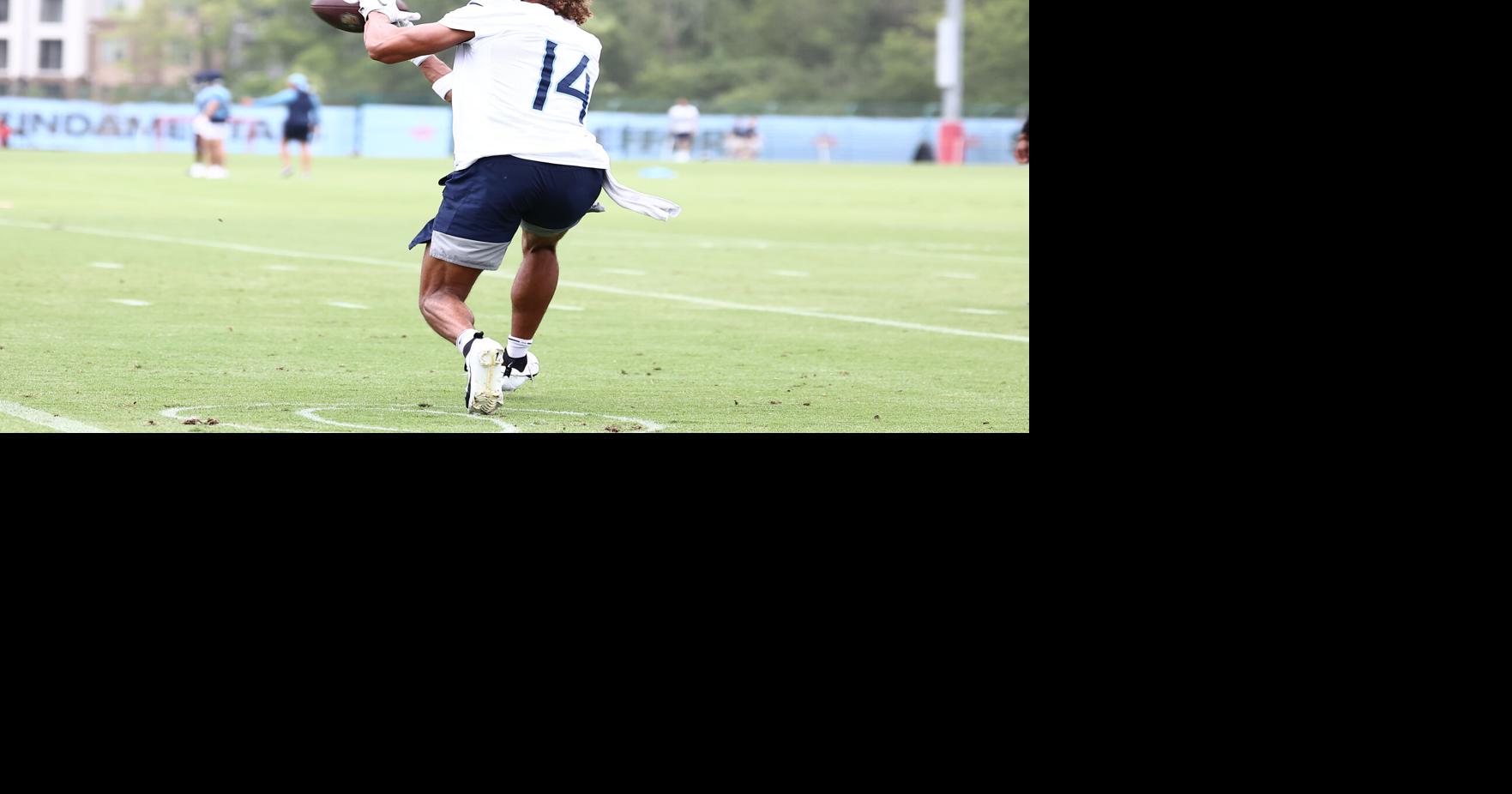 Titans' Jackson, Dowell celebrate earning roster spots on hometown team ...