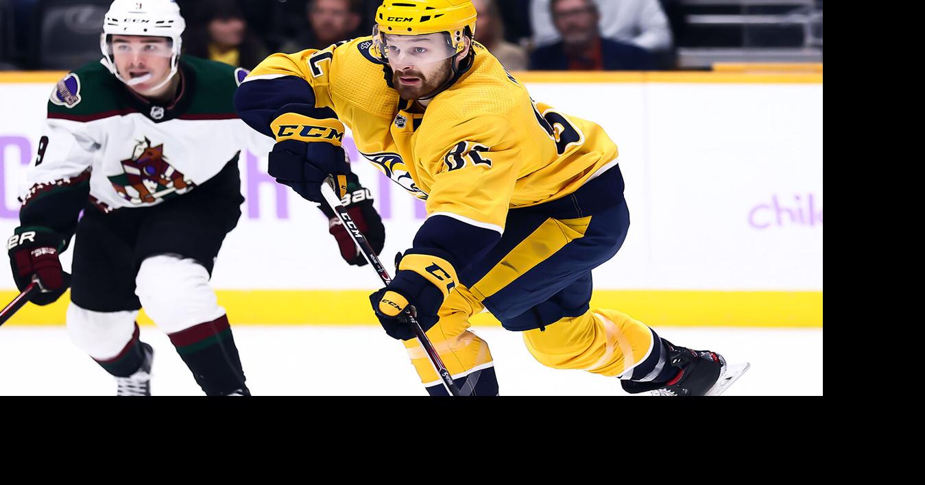 Predators call up Tommy Novak from Milwaukee | Nashville Predators ...
