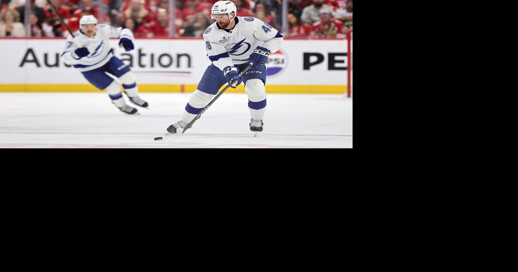 Predators sign Nick Perbix, addressing need for right-handed defenseman ...