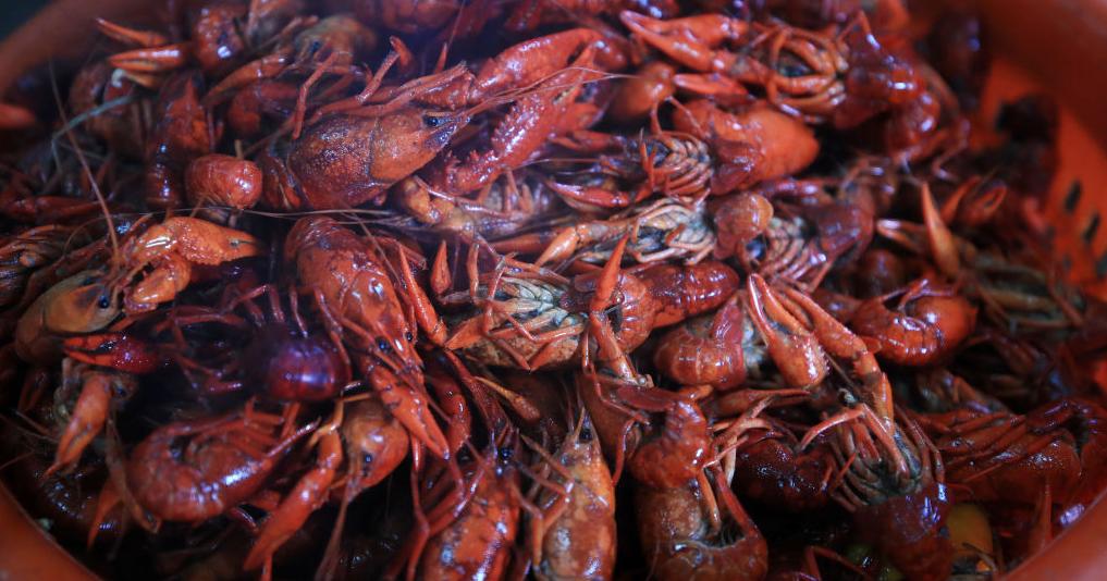 Nashville Crawfish Boils Coming Up This Spring | Bites | nashvillescene.com