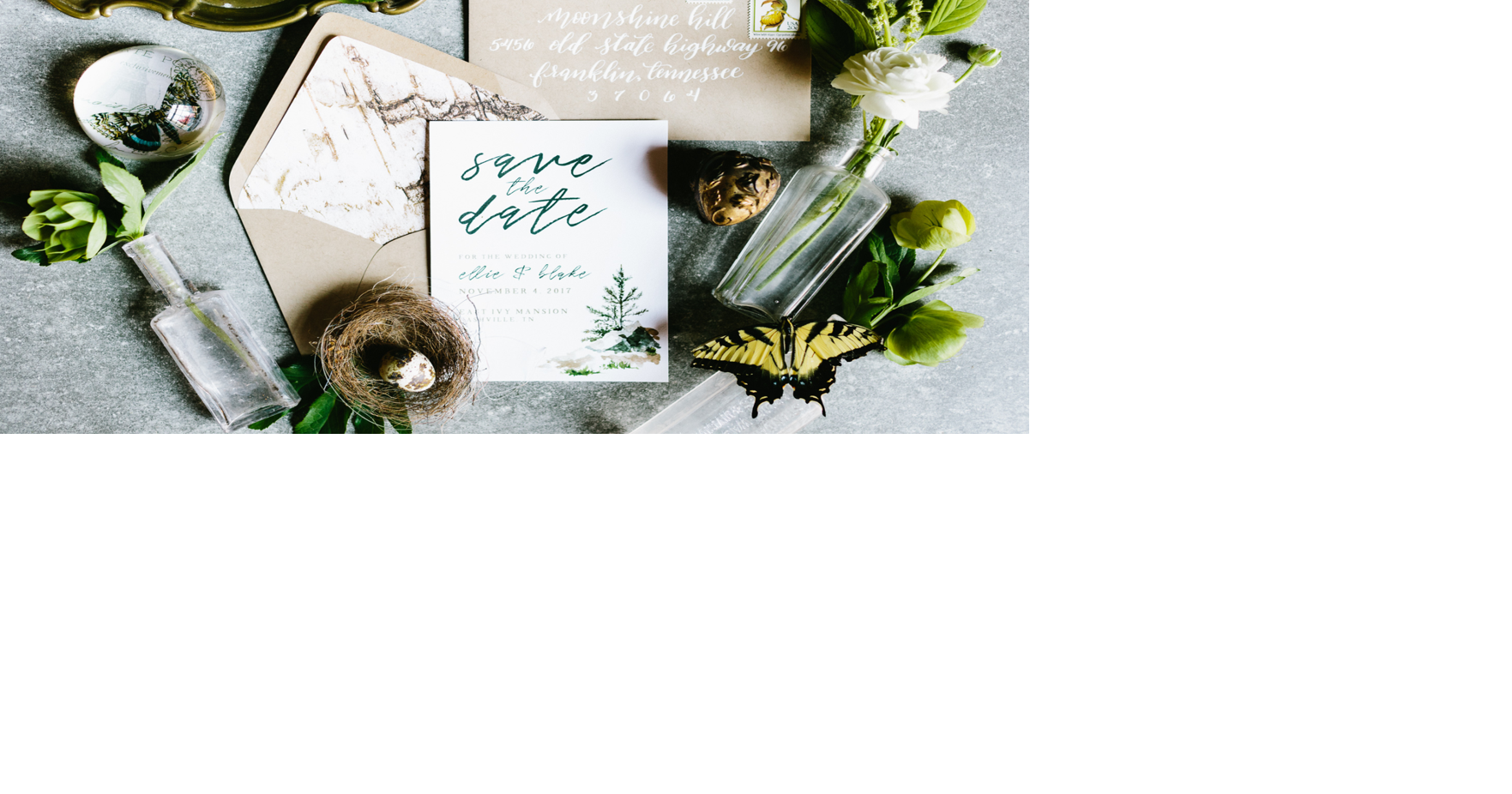 Best Visual Artist | Readers' Poll | nashvillescene.com