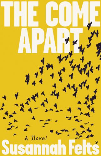 ‘The Come Apart’ Is an Ode to Life in the Music Community | Books ...