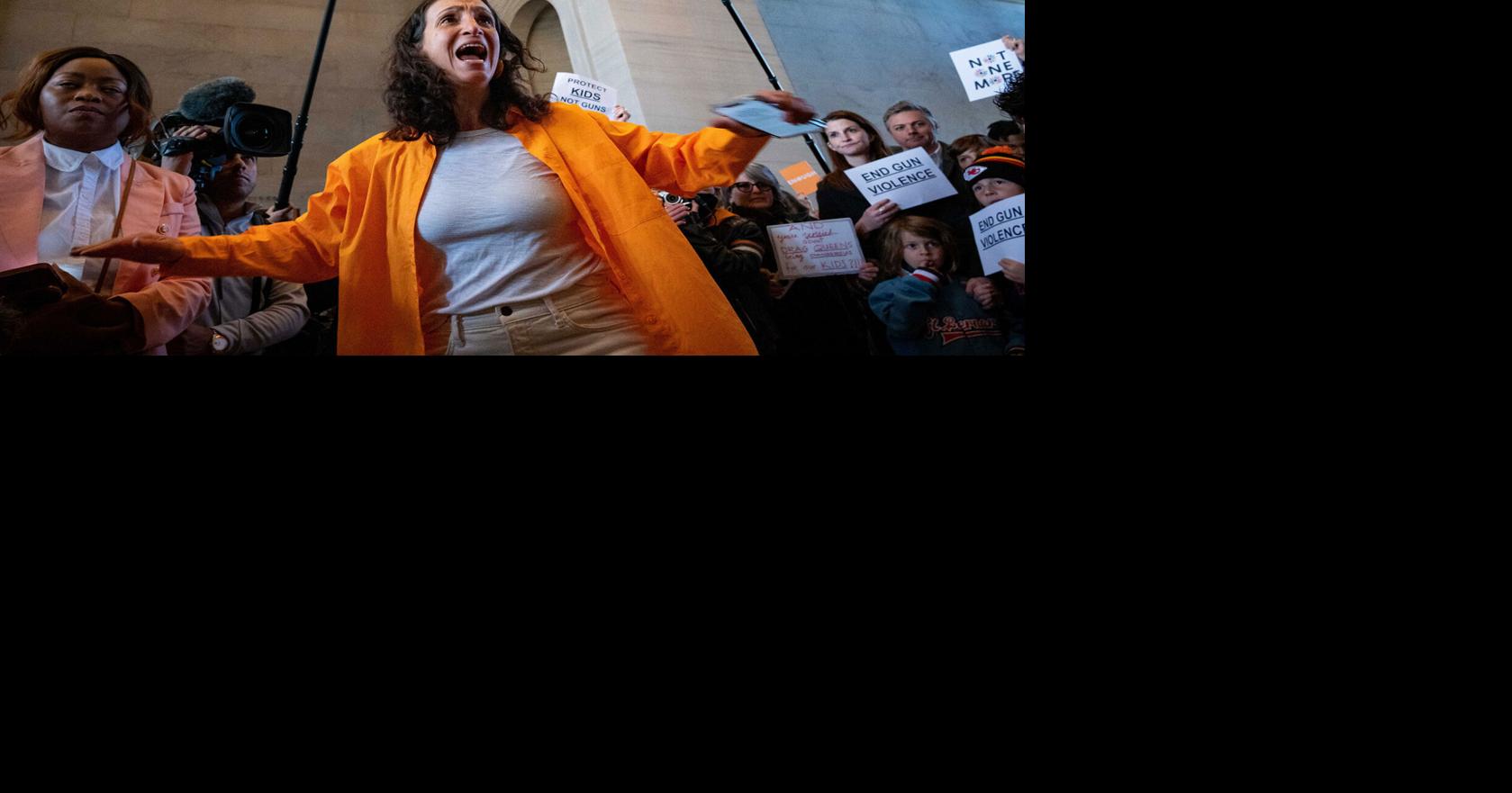 Nashville Online: Maryam Abolfazli on Going From Posts to Protests ...