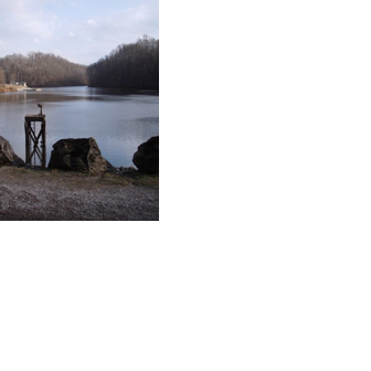 Marrowbone Lake: A Review | Pith in the Wind | Nashville News ...