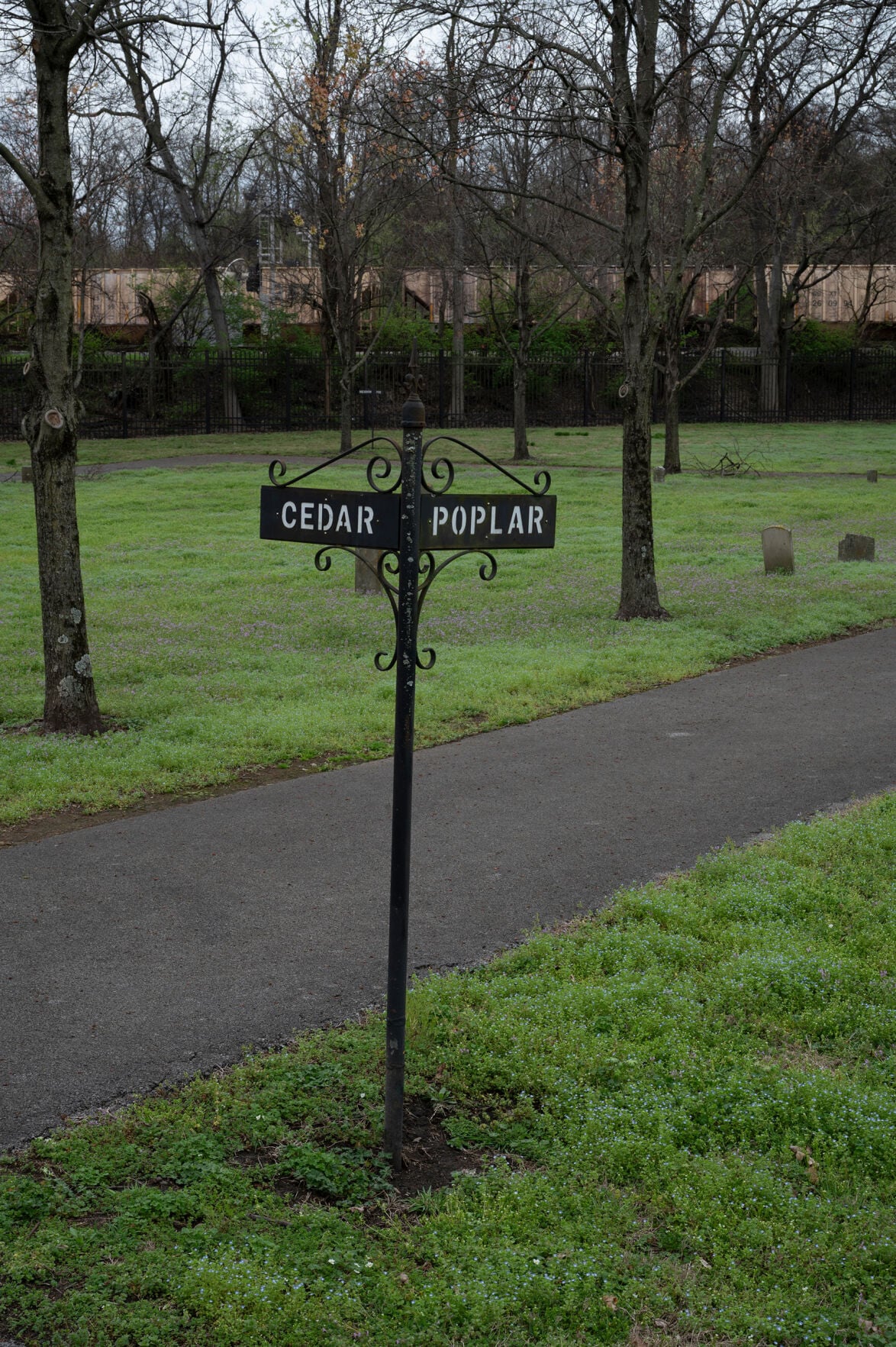 Down the Rabbit Hole on Allen — a 'Slave of the Corporation' | Pith in ...