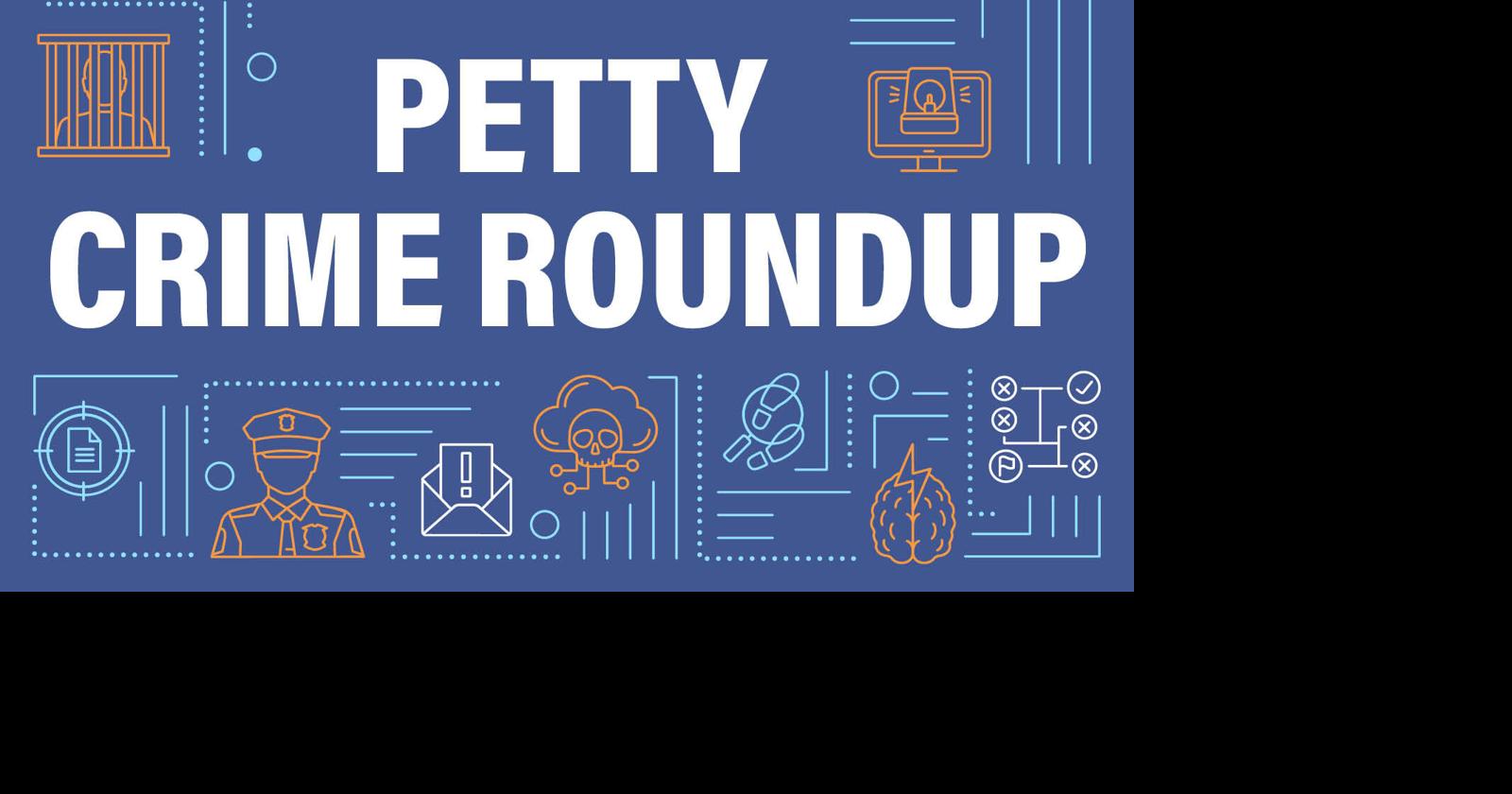 The Boner Awards 2023: Petty Crime Roundup | Cover Story | nashvillescene.com