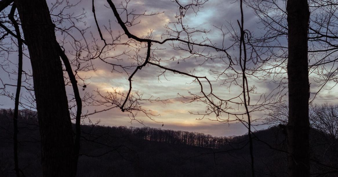 Western Highland Rim Forest to Unite Nashville’s Major Parks | City ...