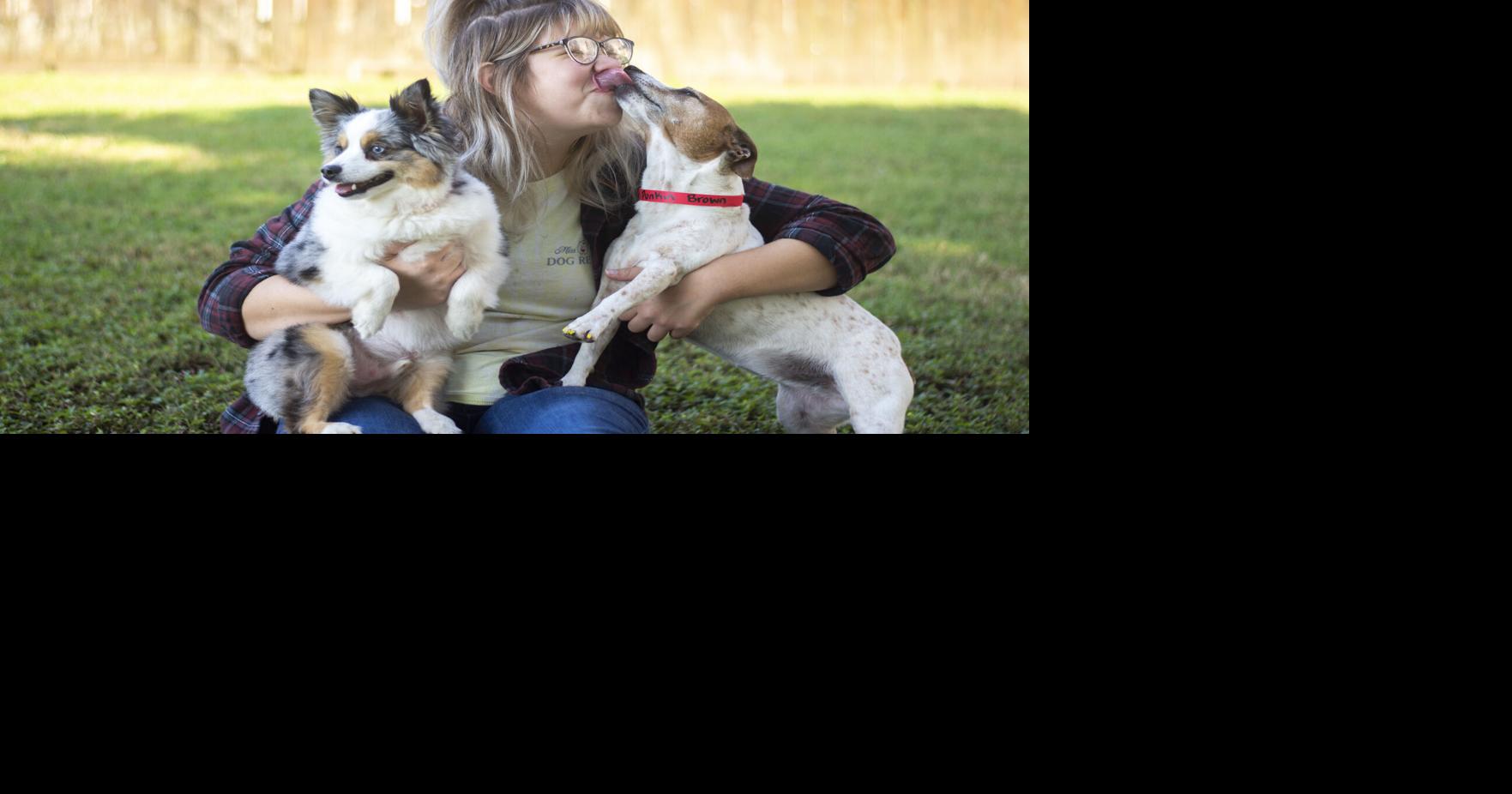 Miss Kitty’s Dog Resort | Readers-poll | nashvillescene.com