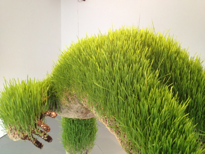 Before and After: Mathilde Roussel's Botanical Art | Arts & Culture ...