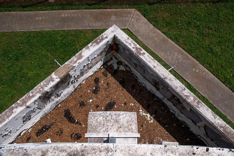 Shelby Commons Moves Forward in Former Naval Training Center | Pith in ...