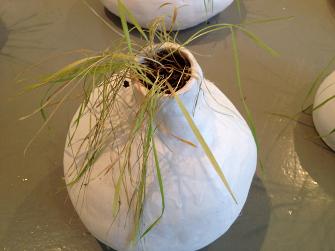 Before and After: Mathilde Roussel's Botanical Art | Arts & Culture ...