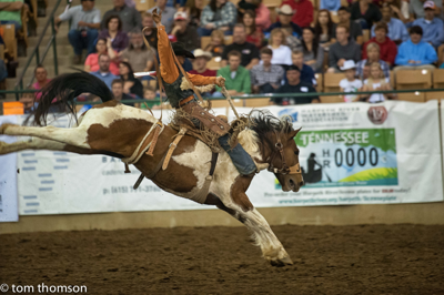 Franklin Rodeo | | nashvillescene.com