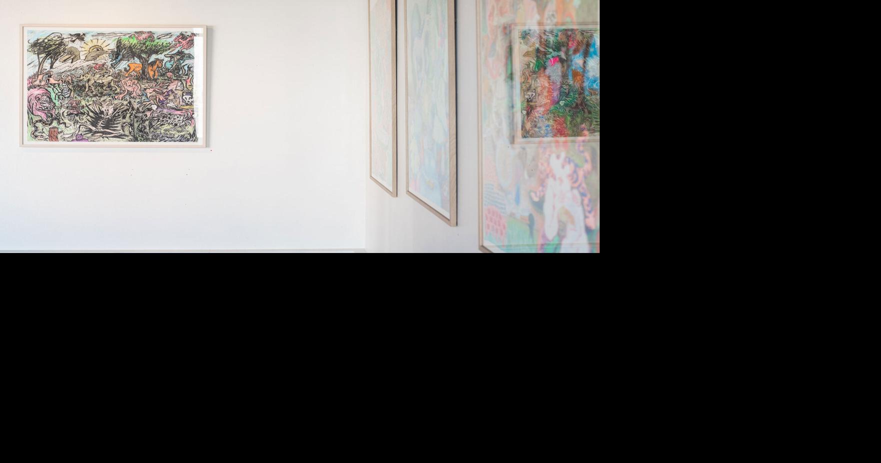 Benji Anderson’s 'The Fitful Portal' at Elephant Gallery | Arts ...