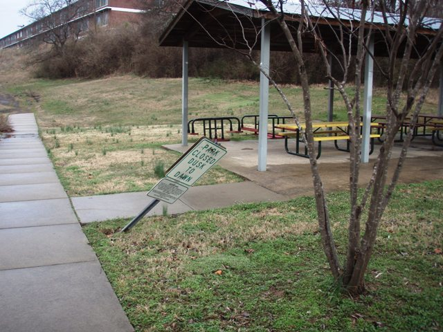 Boyd-Taylor Park: A Review | Pith in the Wind | Nashville News ...