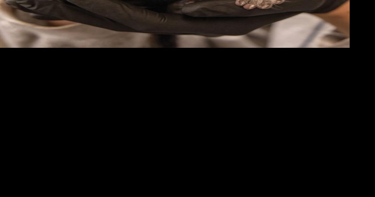 Penelope the Red Ruffed Lemur at the Nashville Zoo | Writers-choice ...