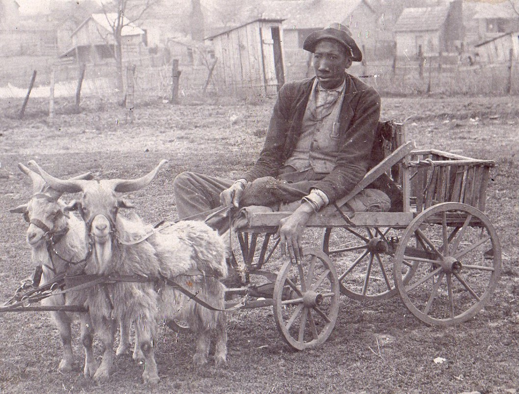 Bud Rogan, the 8-Foot-8 Gallatin Giant | Pith in the Wind | Nashville ...