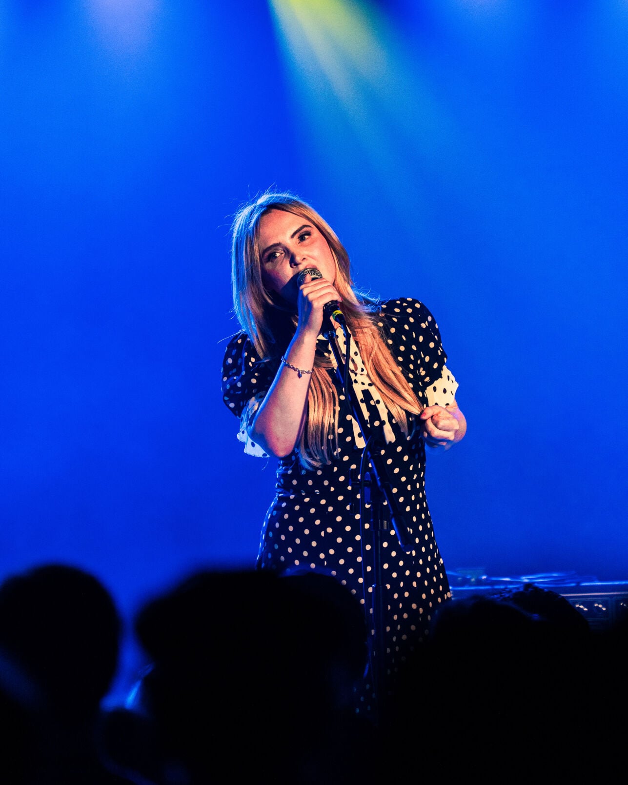 Robyn Hitchcock and Friends Get Surreal at The Basement East | The Spin ...