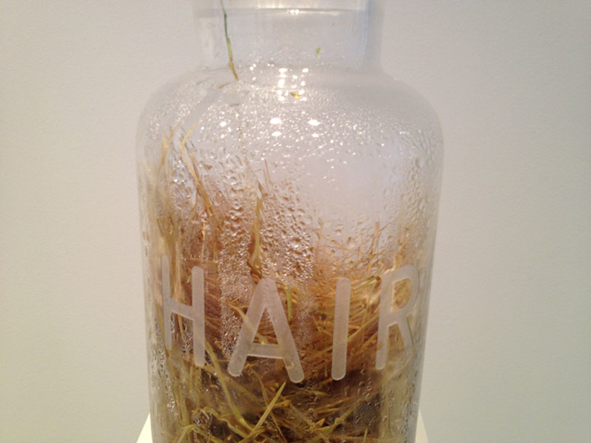 Before and After: Mathilde Roussel's Botanical Art | Arts & Culture ...