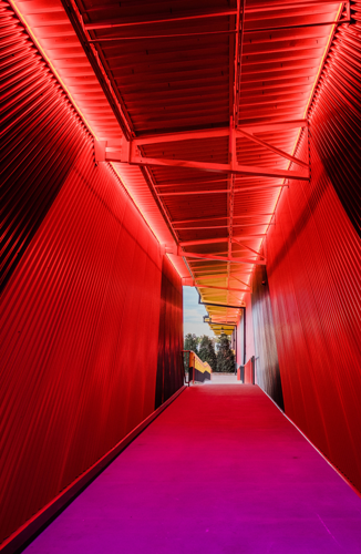 Game Terminal Super Arcade and Bar Opens in South Nashville | Bites ...