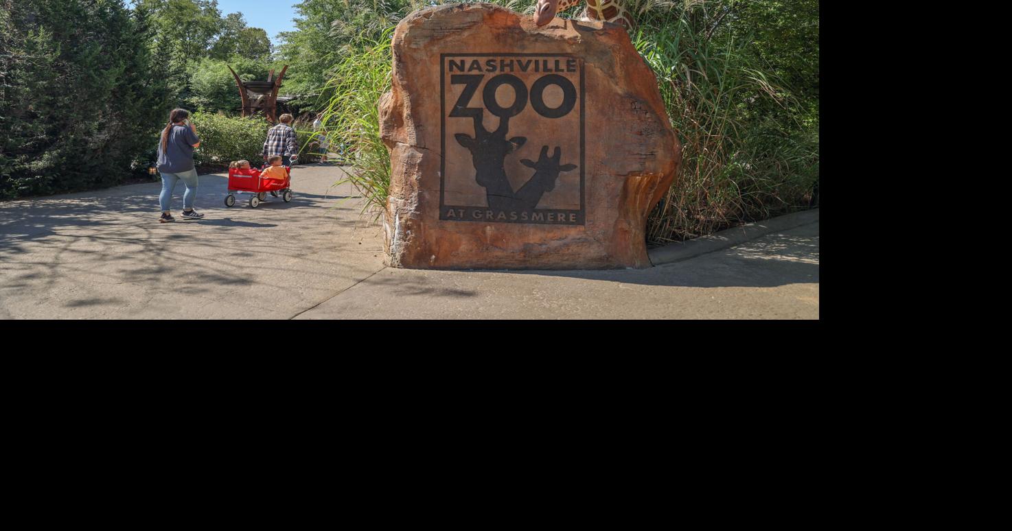 Mayor Files Legislation Seeking to Acquire Zoo-Area Property | Pith in ...