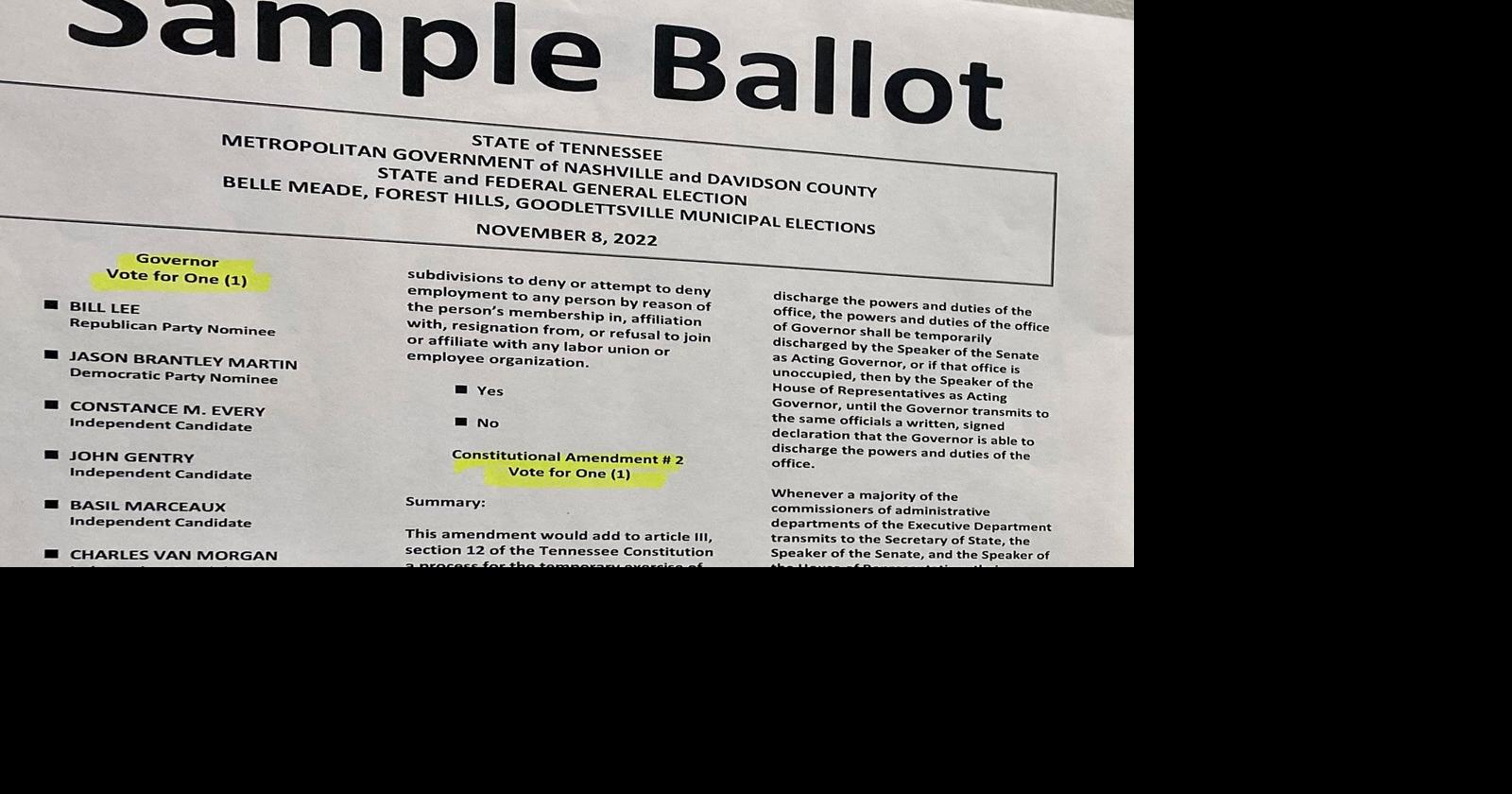 What's on the Nov. 8 Ballot | City Limits | nashvillescene.com