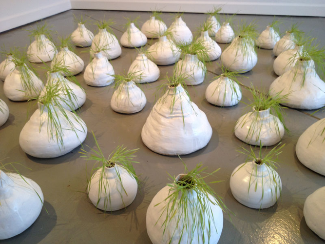 Before and After: Mathilde Roussel's Botanical Art | Arts & Culture ...