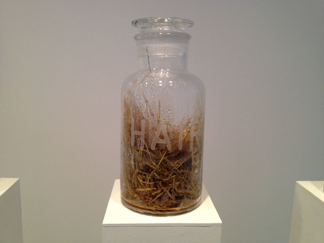 Before and After: Mathilde Roussel's Botanical Art | Arts & Culture ...