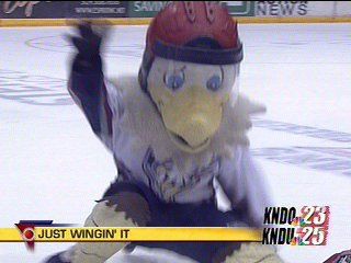 Winger for a Day: Scott Reister suits up as Ams mascot | Archives ...