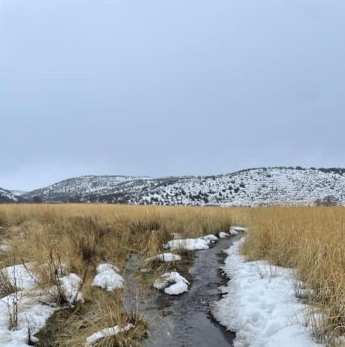 Cowiche Canyon Conservancy reopens trails | News | nbcrightnow.com