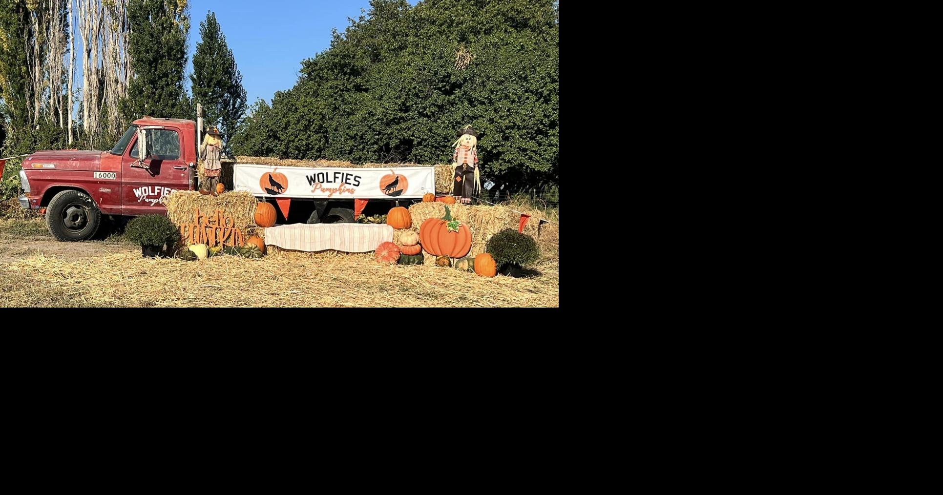 DSAMC Fall Get Together tonight in Benton City | News | nbcrightnow.com