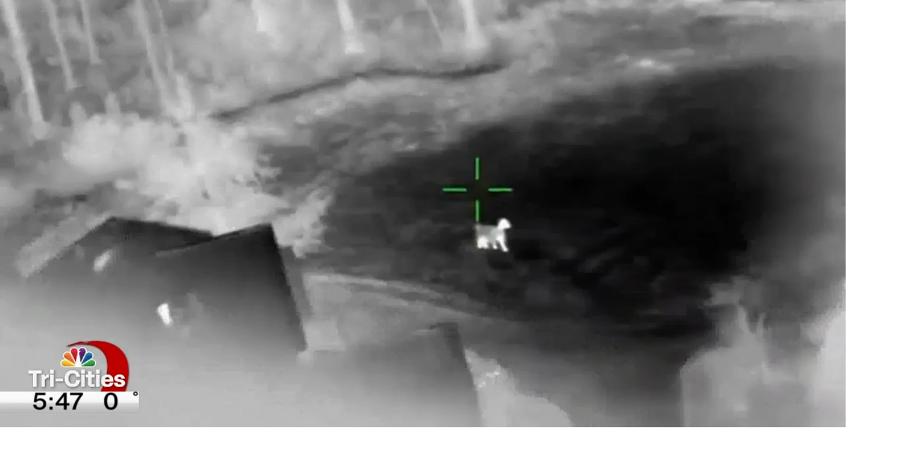 What's Trending: Llama police chase | Top Video | nbcrightnow.com