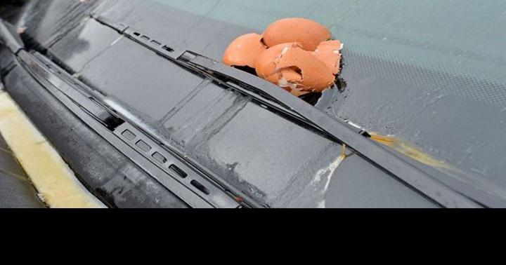 Pendleton Police need your help finding "Egg-Haters" after several ...