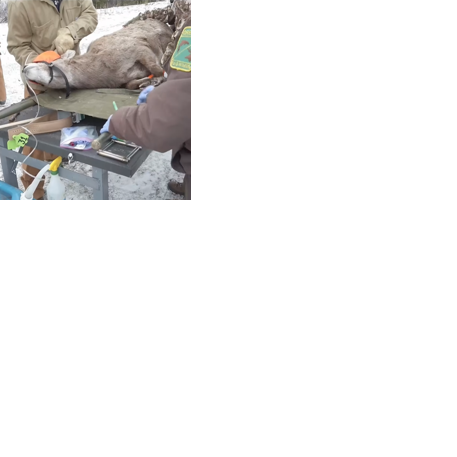 Oregon raffle offers exclusive outdoor adventures for nature ...