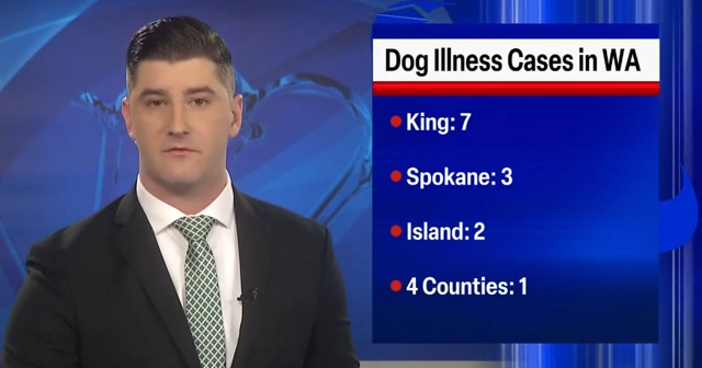 WSDA gives an update on uknown respiratory illness in dogs | Northwest ...
