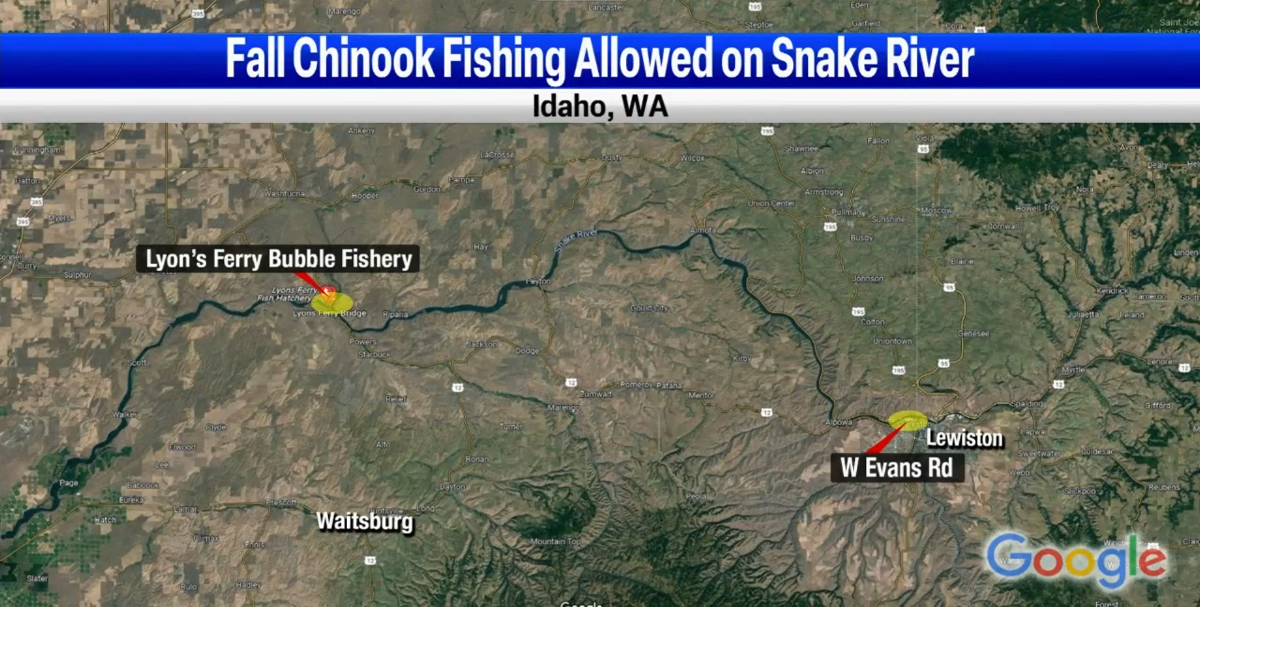 Fall Chinook harvest to be allowed on Snake River fishery | News ...