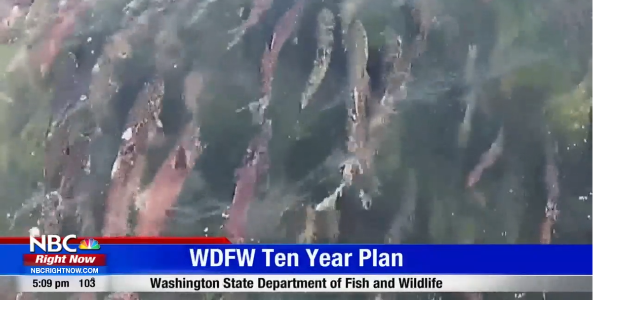 WDFW 2023 Budget and Land Transactions Approved | News | nbcrightnow.com