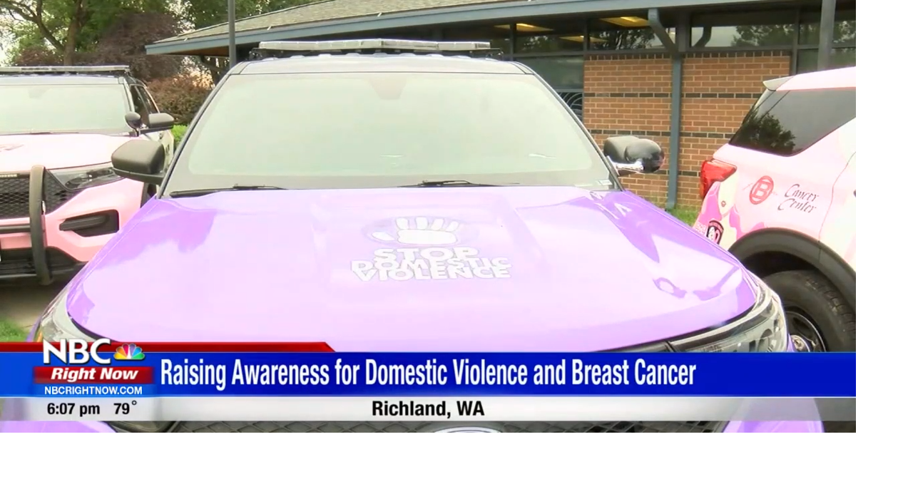 Purple and pink police cars raise awareness for domestic violence and ...