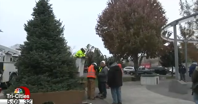 Yakima installs Christmas tree downtown | News | nbcrightnow.com