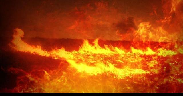 Grizzly Bear Complex Fire 37% Contained | Archives | nbcrightnow.com