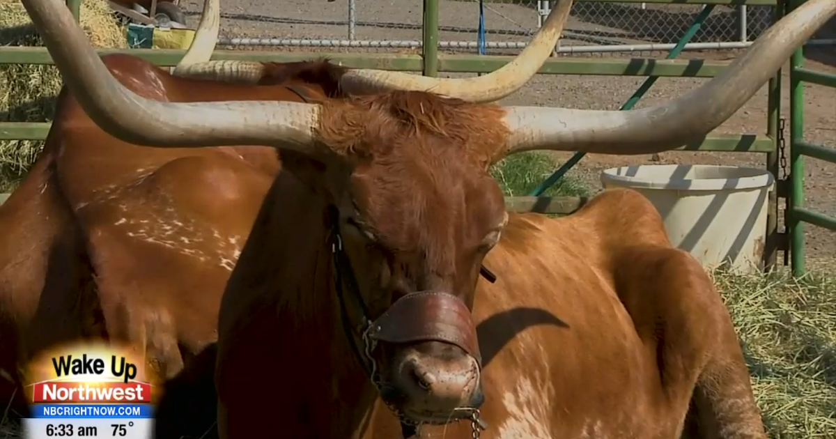 Kittitas County Fair This Labor Day Weekend Flipboard kittitas-county-fair-this-labor-day-weekend-flipboard