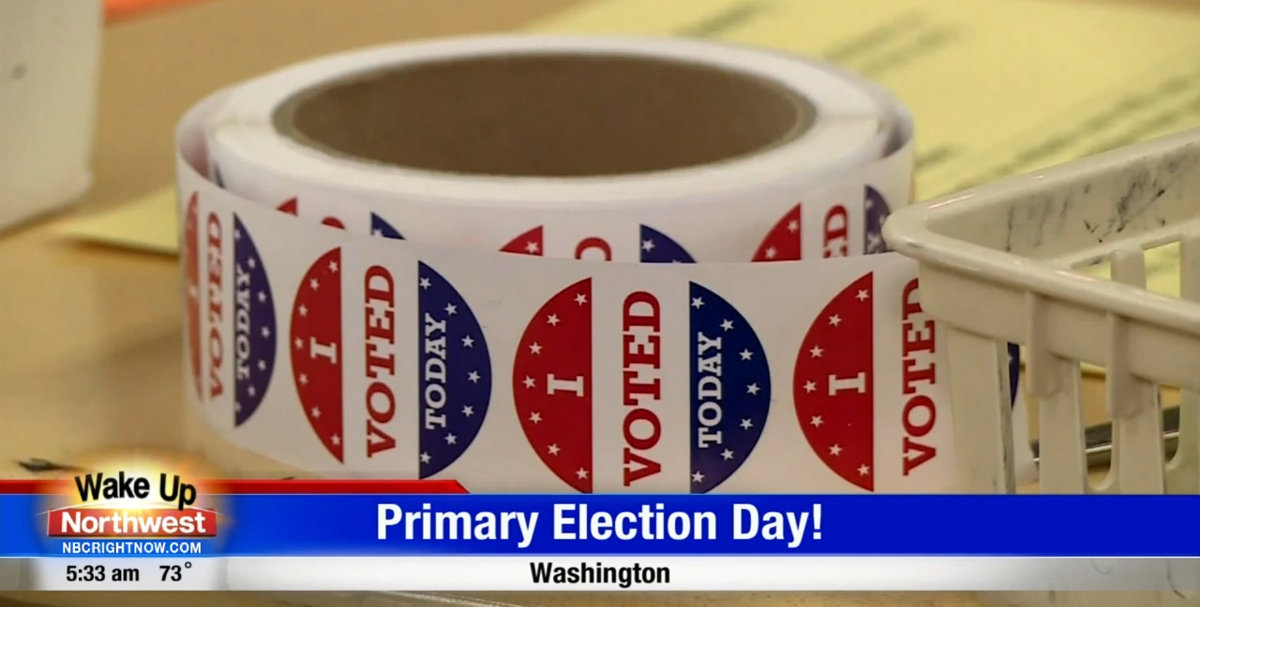 Primary Election Day: How To Vote | News | nbcrightnow.com