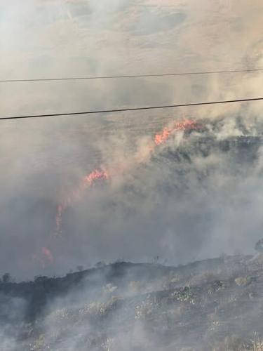 Highway 730 fire near Wallula grows to 3,637 acres | Fire | nbcrightnow.com
