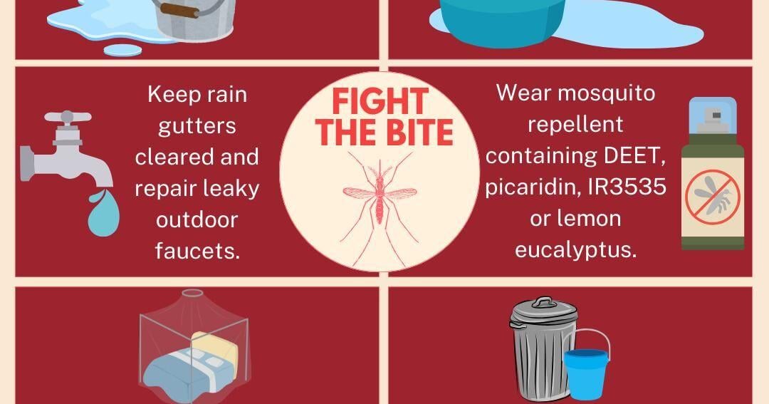 Officials: New mosquito species discovered in Oregon | News ...