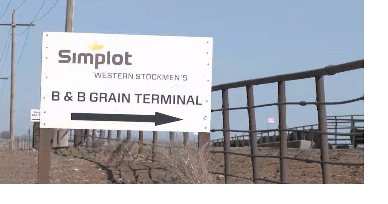 Simplot cattle farm in Burbank faces new wastewater rules | News ...