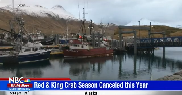 Alaska cancels snow crab season, threatening key economic driver | News | nbcrightnow.com