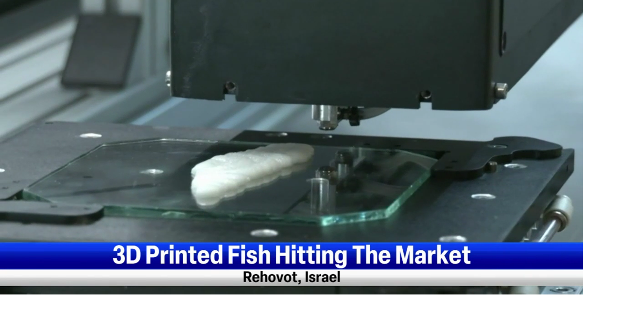 3D-printed fish fillets to hit markets next year | News | nbcrightnow.com