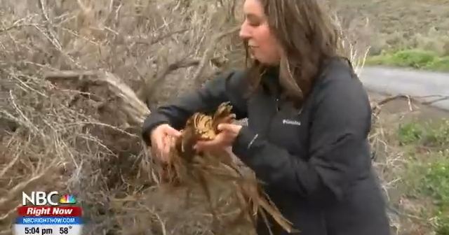 Wildfire Ready Neighbors Campaign is here to help you protect your home ...