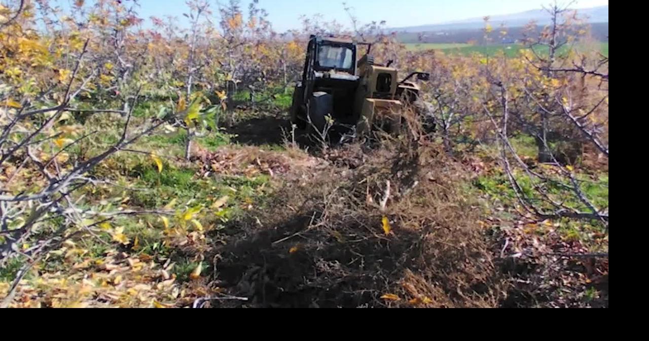 Telehandler crash in Royal City sends man to hospital | News ...